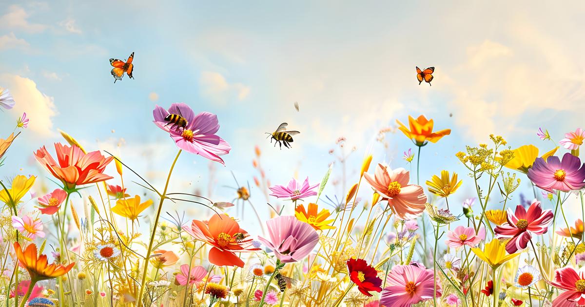 Kenge Per Femije Ne Shqip Bleta Dhe Një Flutur Kenge Vjersha